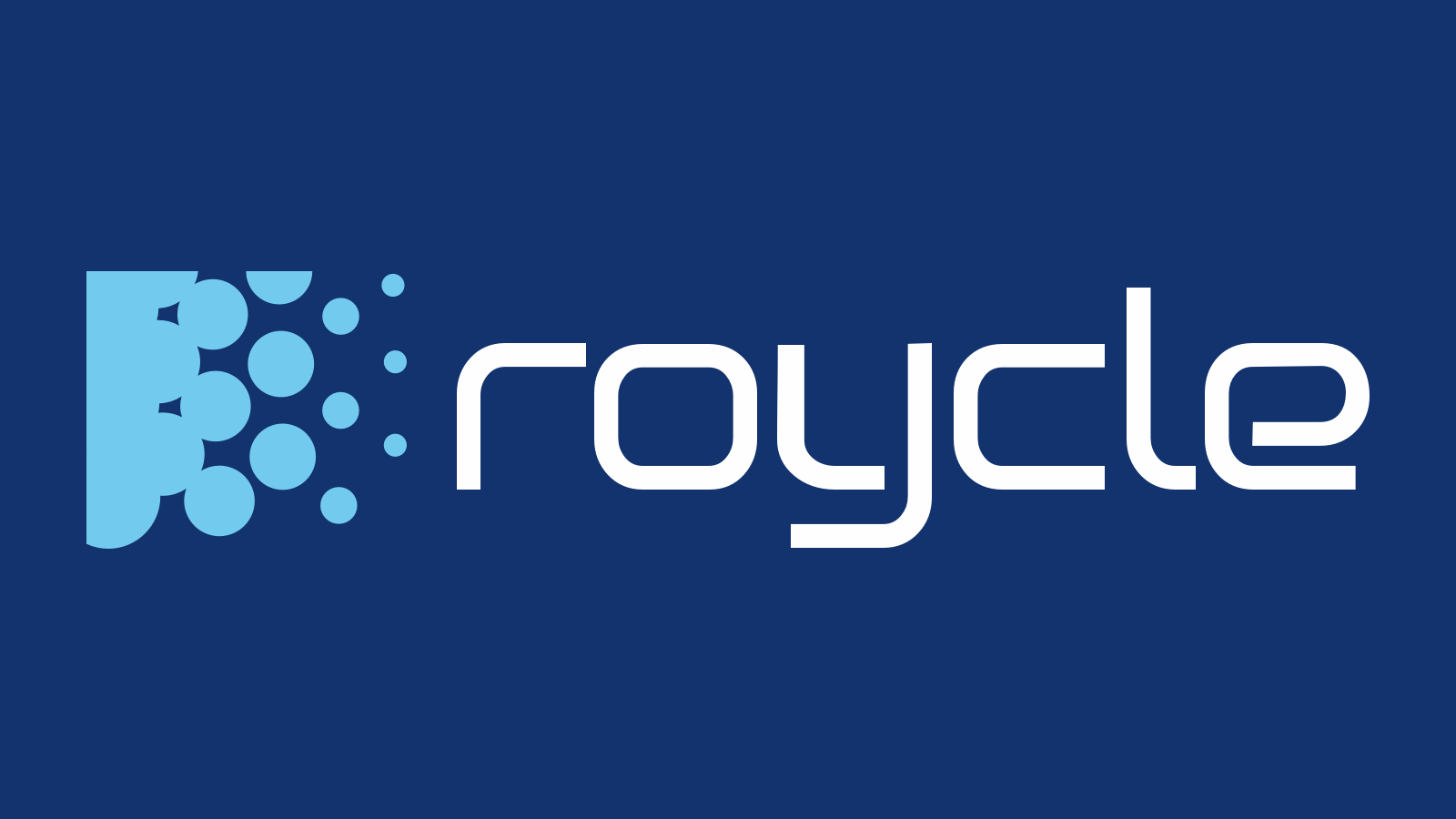 Roycle | Fábrica de Poliestireno Expandido